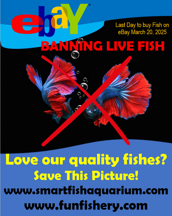 *GAME FISH PACKAGE* Bass Bluegill Carp Catfish Sunfish Mosquito Fish ...