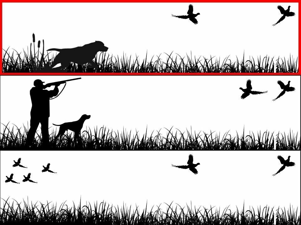 Pheasant Hunting Silhouettes 30+ Pheasant Hunting Silhouette Stock