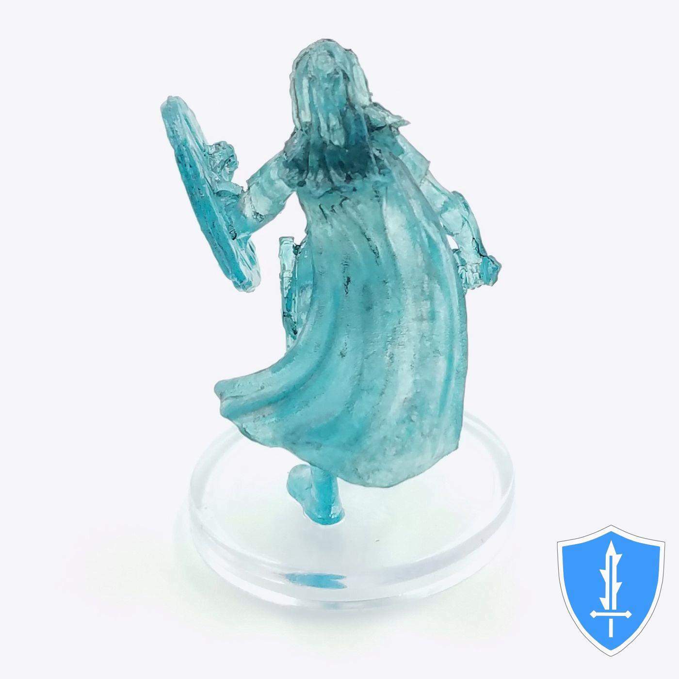 Sword Wraith Warrior - Boneyard #24 D&D Icons of Realms Miniature | eBay