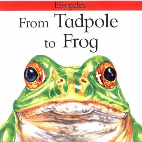 Life Cycles Ser.: From Tadpole to Frog by Carolyn Scrace and Gerald ...