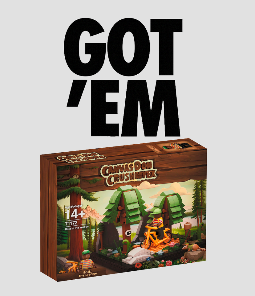 The Canvas Don CRUSHMYEX Bike in the Woods SET Tyler the Creator lego ...
