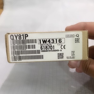 New Mitsubishi PLC Module QY81P IN BOX Free Shipping | eBay