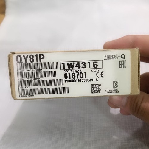 New Mitsubishi PLC Module QY81P IN BOX Free Shipping | eBay