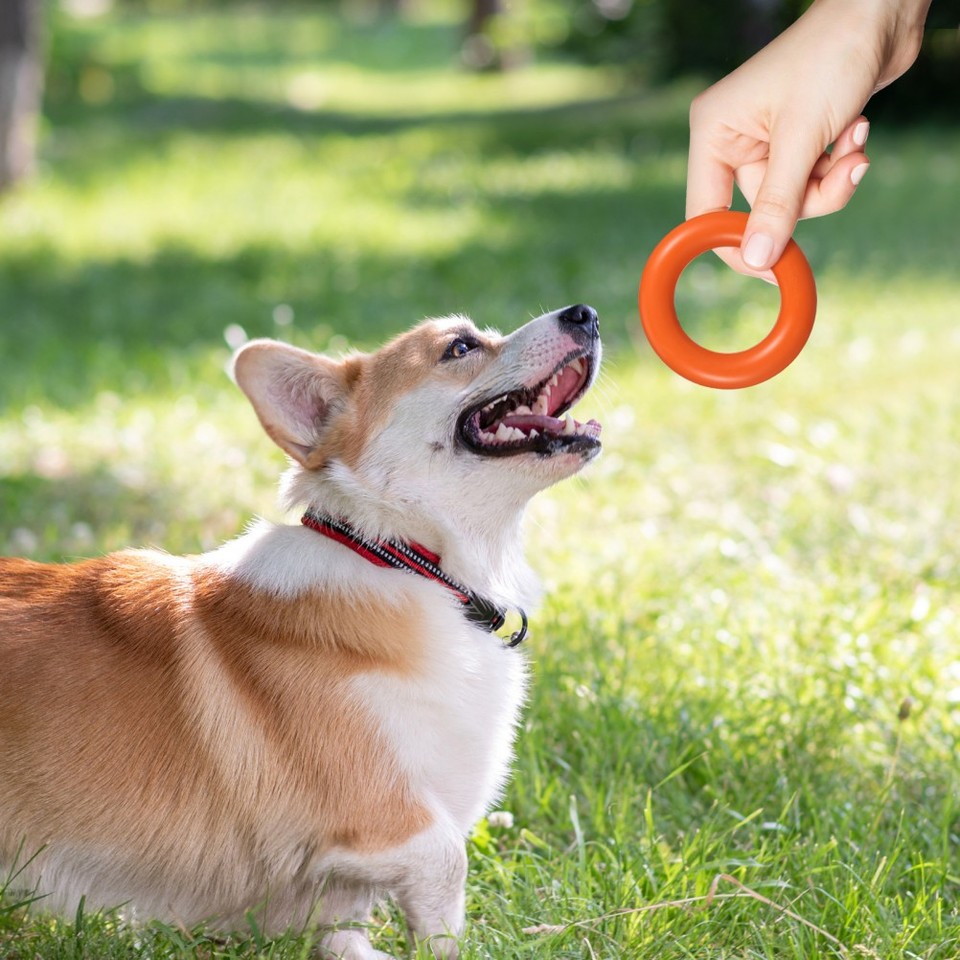 And Natural Rubber Dog Biting Toy Ring Pet Chew Clean Teeth Toy (Orange ...