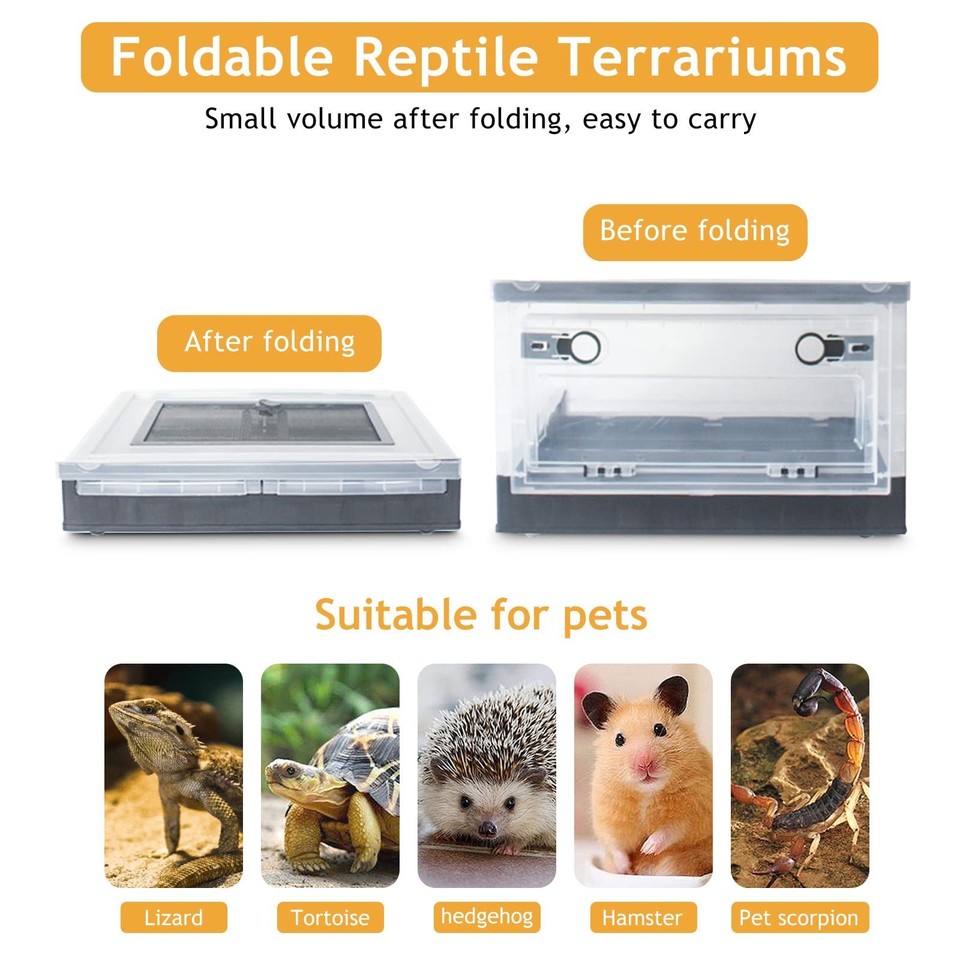 Foldable Reptile Terrariums Kits with Plant, Feeding Bowl, Carpet, Easy ...