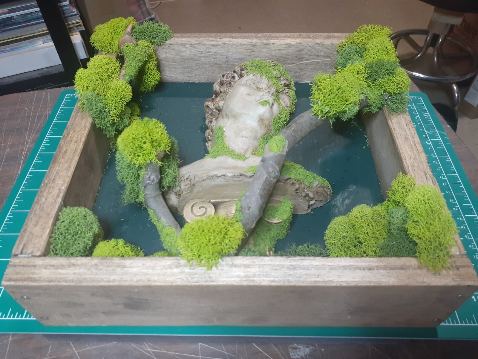 Reindeer Moss/ THE DAVID Forest Shadow Boxes 12" x 12" x 3" inches | eBay
