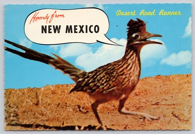 Postcard New Mexico Howdy Desert Road Runner 6X4 Inch | eBay