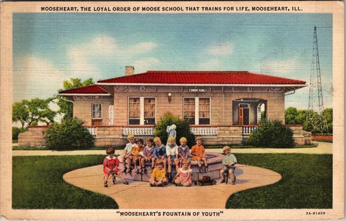 Mooseheart IL-Illinois, Mooseheart School, Outside, Vintage Postcard | eBay