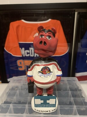 Hamilton E. Hog Hammy Rockford Icehogs Mascot SGA Rockford Icehogs ...