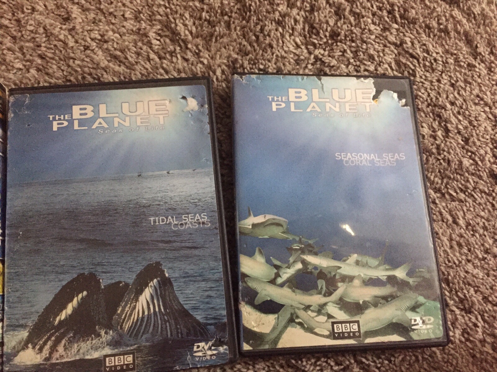 Nature Dvds Lot Of 7 Planet Earth, Shark Week, Blue Planet | eBay