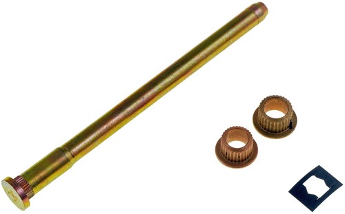 Door Hinge Pin and Bushing Kit Dorman 38416 37495384162| eBay