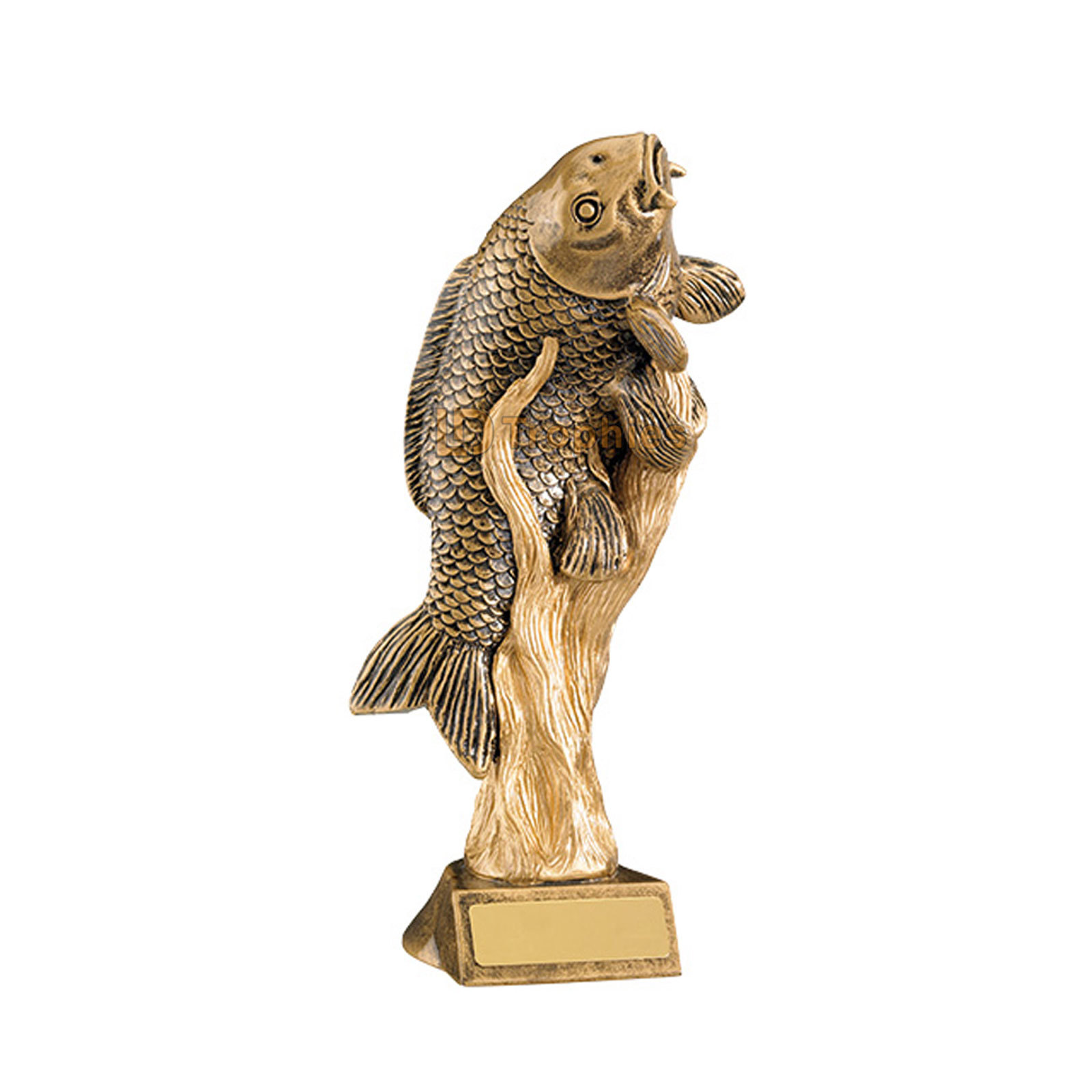 Fishing Trophy, F/Engraving, Carp Fishing Trophy, Freshwater Fishing ...