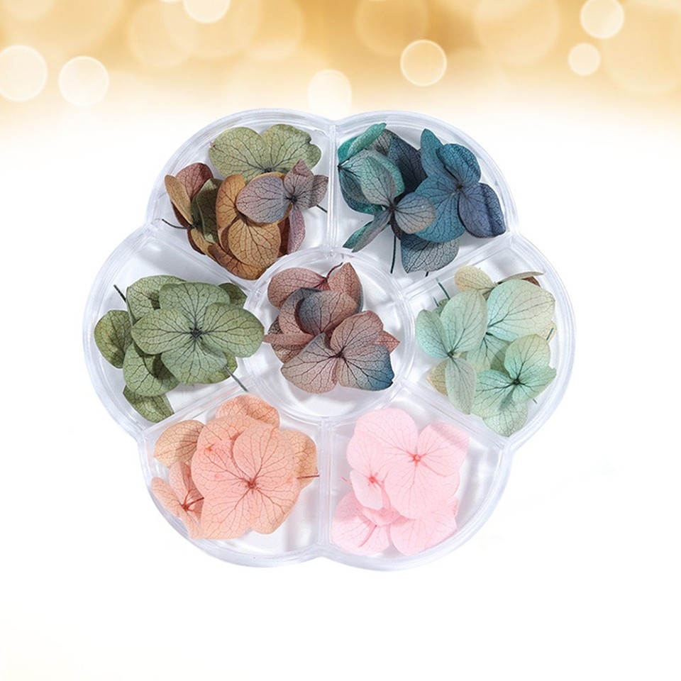 Pressed Flower Nail Sticker Stickers Flowers Dried Leaves for Dry Nails ...