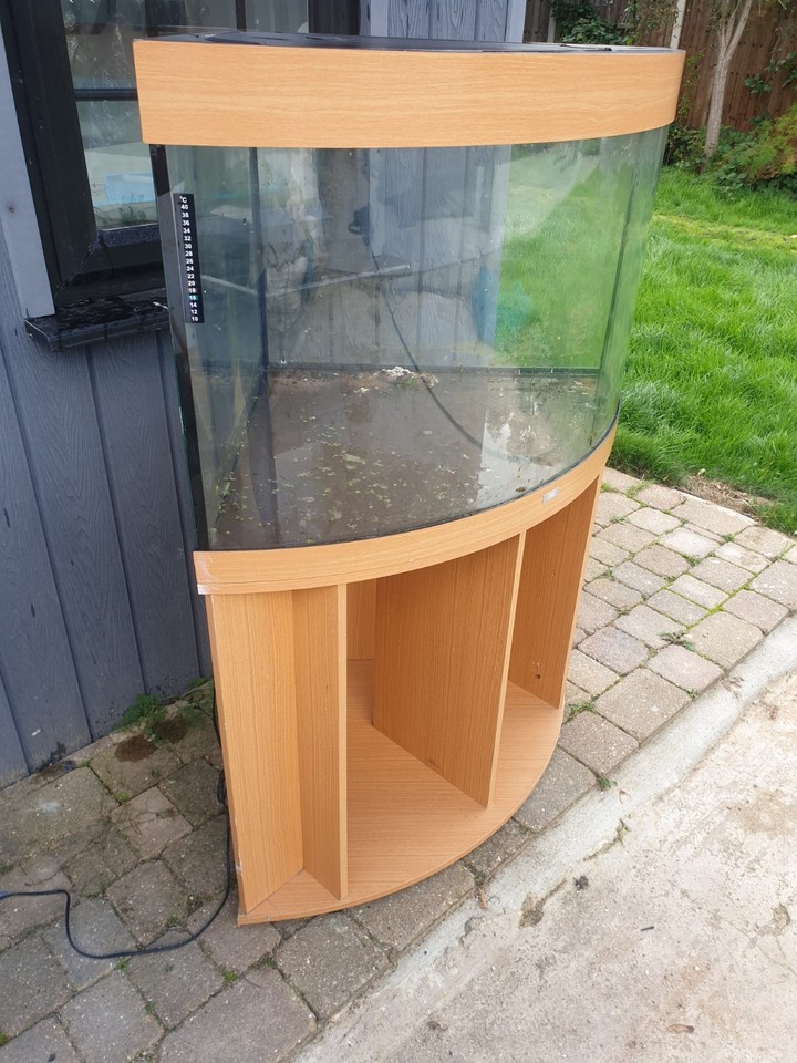 Reduced Juwel Trigon 190 Corner Fish Tank with Cabinet Stand and ...