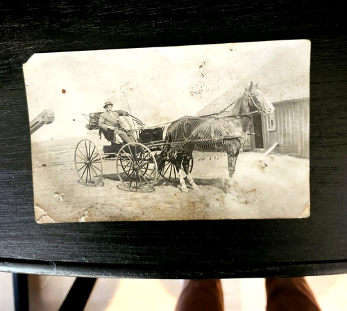 Horse Carriage Man RPPC net over horse RPPC AZO postcard Real Photo age ...