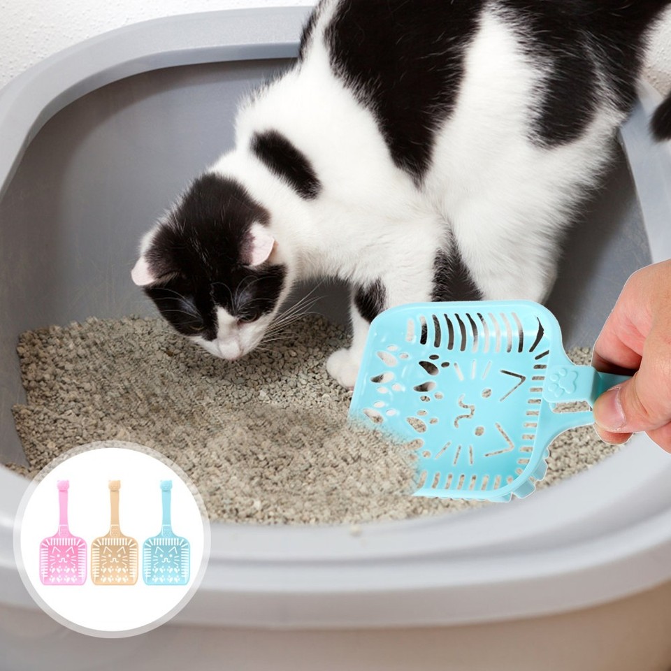 6 Pcs Litter Tray Scooper Cat Box Sifter Plastic for Pine Pellets ...