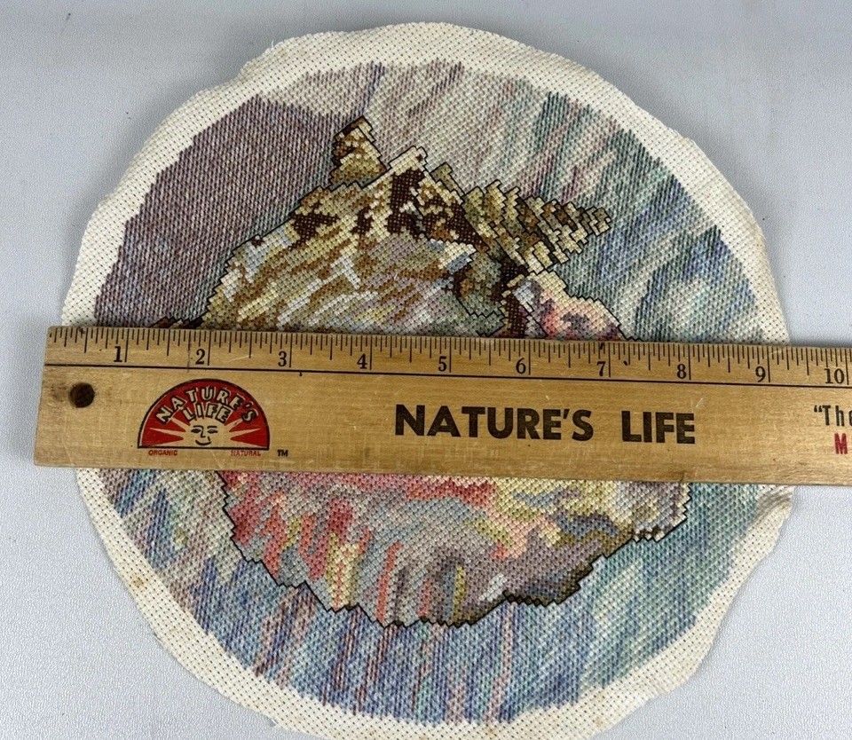 Conch Sea Shell Completed Counted Cross Stitch Round Coastal Art ...