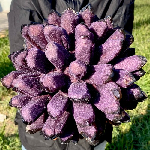 9.35LB Newly discovered purple phantom quartz crystal cluster mineral ...