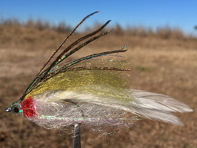 Wet - Snook Flies