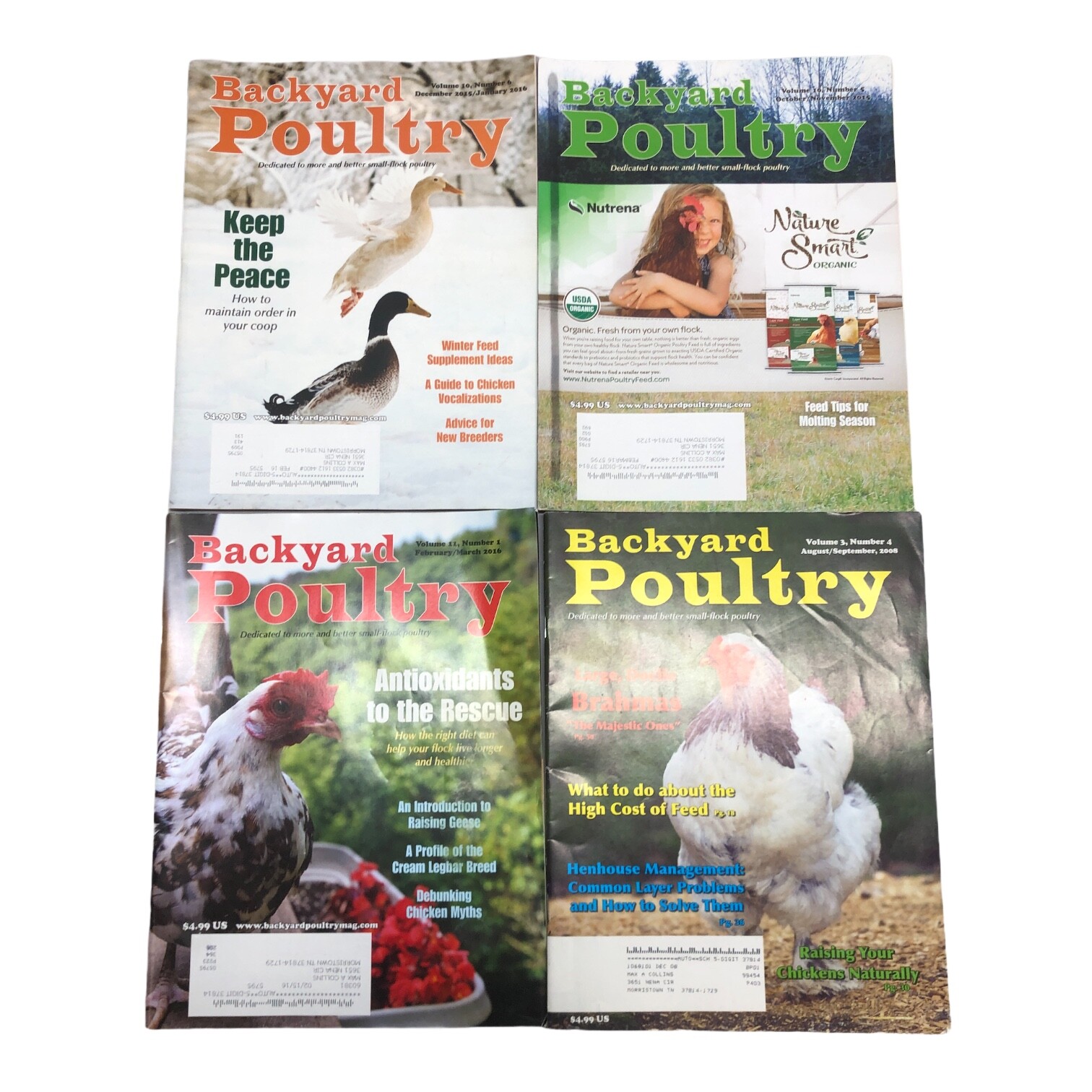 Lot of 4 Backyard Poultry Magazines Chickens Fowl Care | eBay