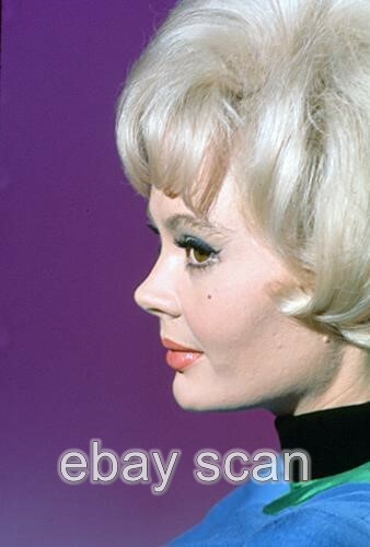 JEANNINE RILEY BEAUTY PORTRAIT PETTICOAT JUNCTION ACTRESS 8X10 PHOTO 63 ...