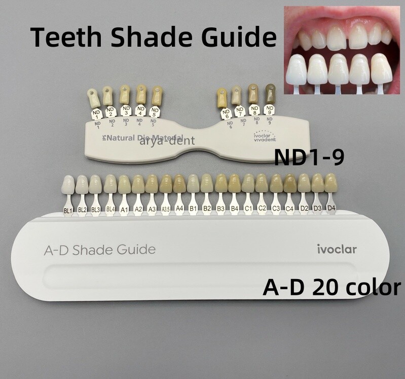 What Is A1 Tooth Color Code - Infoupdate.org