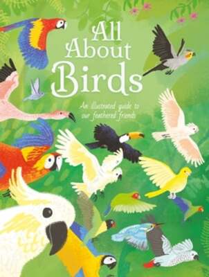 All about Birds: An Illustrated Guide to Our Feathered Friends by ...
