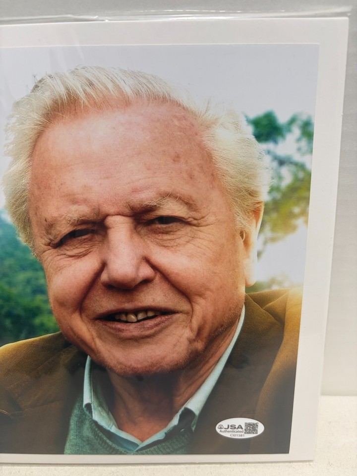 Sir David Attenborough Signed 8x10 Photo Inscribed "Best Wishes" (JSA ...