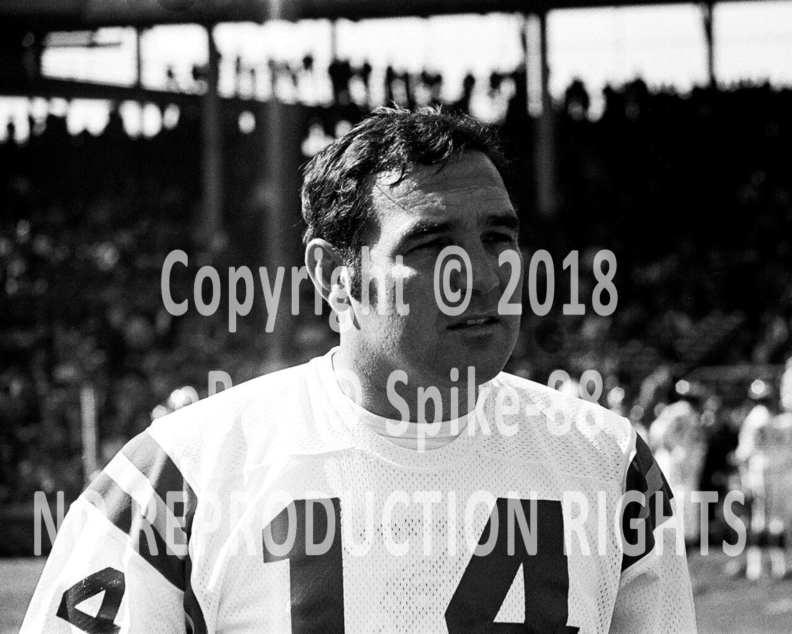 FRED COX MINNESOTA VIKINGS SIDELINE CLOSEUP NO HELMET 1970 WRIGLEY ...