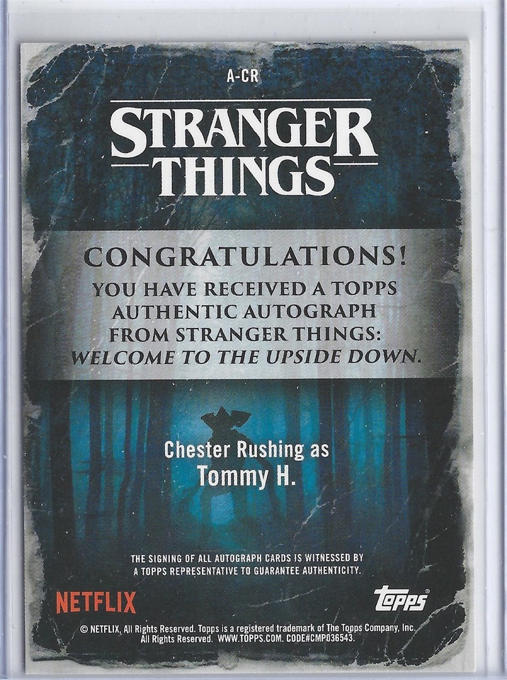 Stranger Things Welcome to the Upside Down Auto A-CR Chester Rushing ...