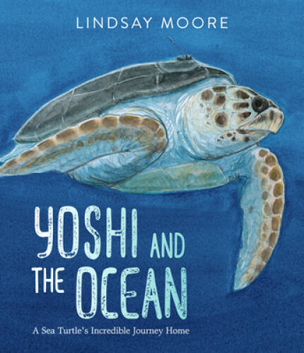 Yoshi and the Ocean: A Sea Turtles Incredible Journey Home - Hardcover ...