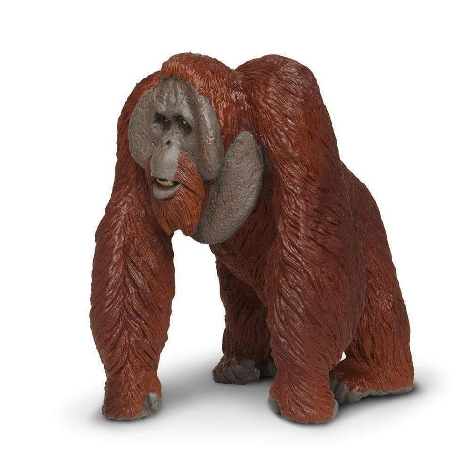 BORNEAN ORANGUTAN Animal Figurine Safari Ltd. toy Wonderful Wildlife | eBay