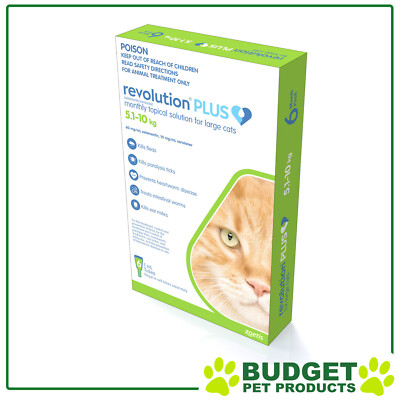 Revolution Plus For Large Cats 5-10kg 6 Pack | eBay Australia