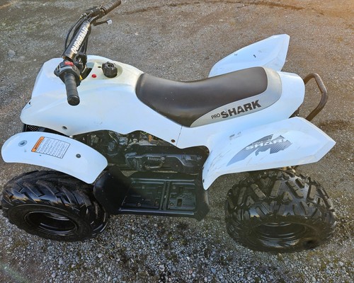 Quadzilla - Pro Shark 100 cc Quad bike | eBay