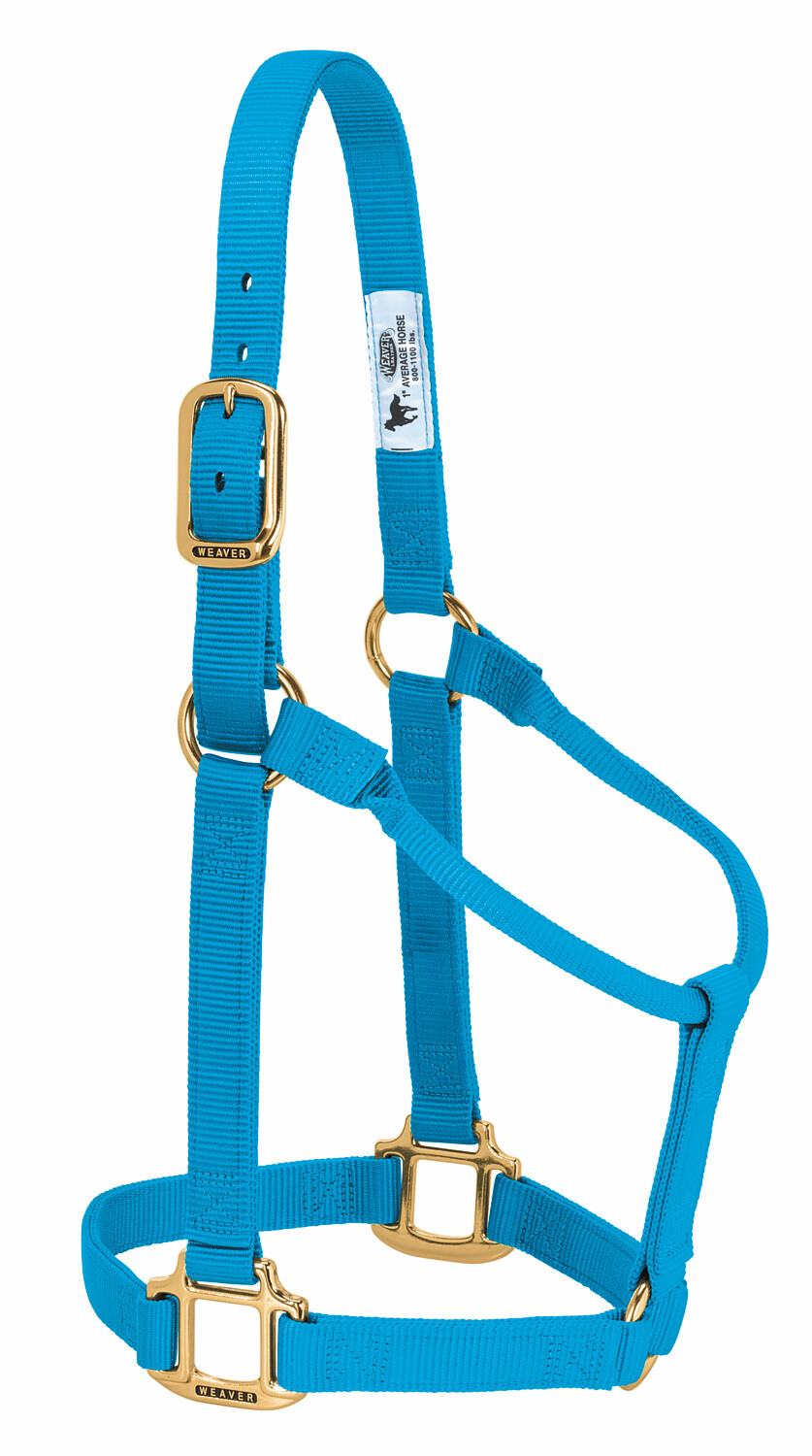 Weaver Leather Non-Adjustable Nylon Halter, Average, Hurricane Blue, 35 ...
