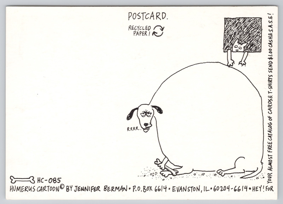 Postcard Jennifer Berman Cartoon Drawing Illustration Velveteen Rabbi ...