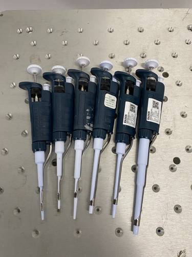Gilson Pipetman P2, P10, P20, P100, P200, P1000 uL Pipettors Lot of 6 ...