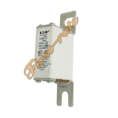 1PC NEW BUSSMANN 170M1317 Quick Fuse Module 100A 690V | eBay