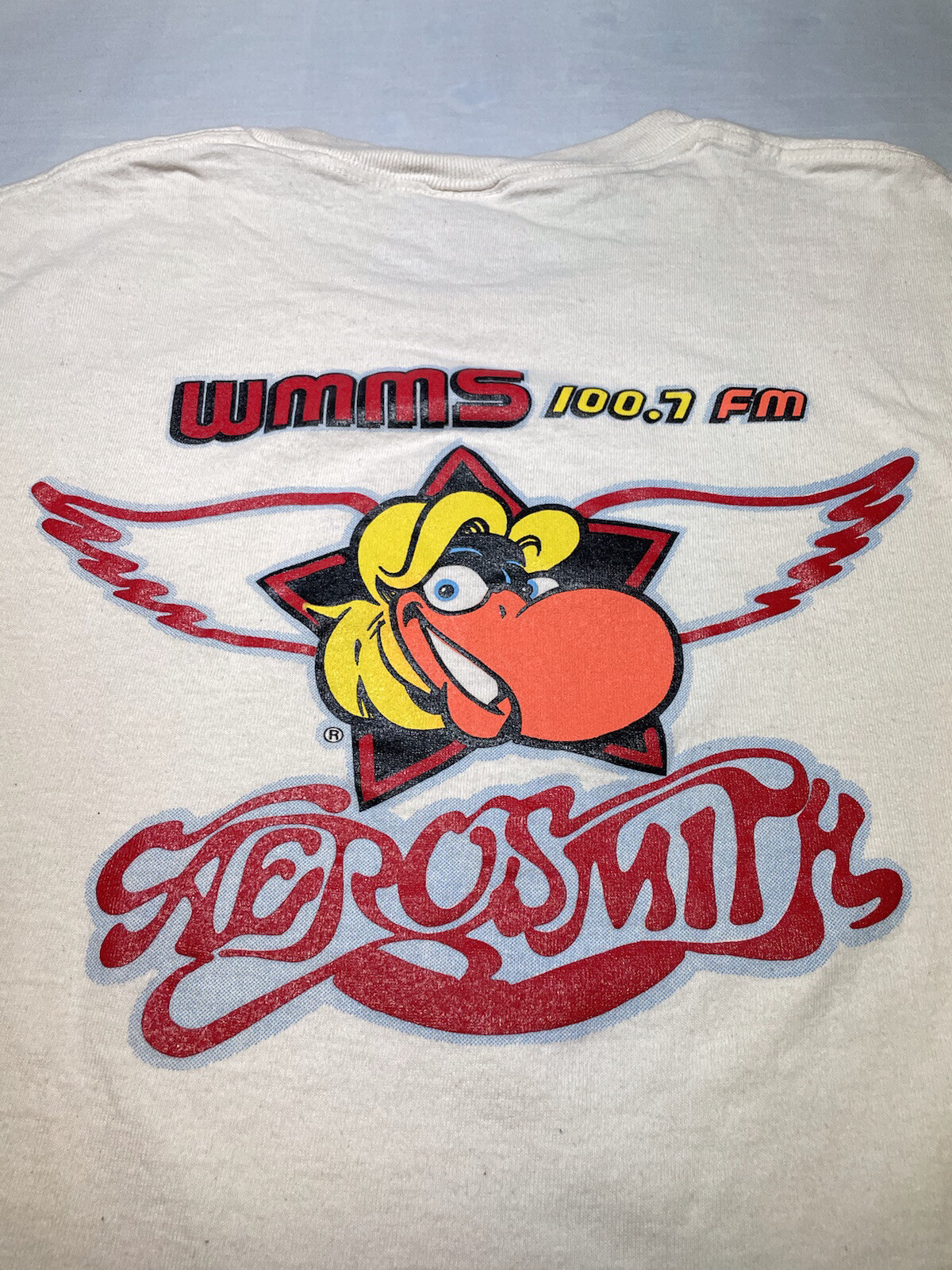 Wmms Buzzard Logo