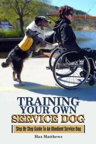 Training Your Own Service Dog: Step By Step Guide To An Obedient ...