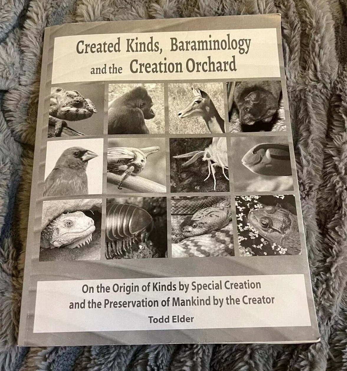Created Kinds, Baraminology, and the Creation Orchard : On the Origin ...