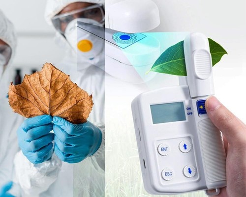 Chlorophyll Meter Portable Leaf Chlorophyll Meter with Measurement Area ...