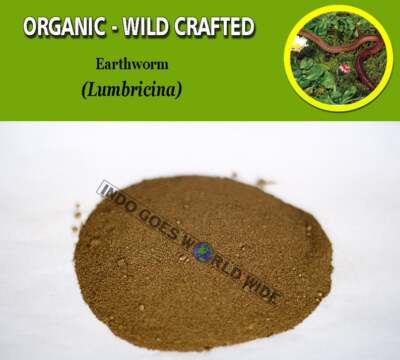 POWDER Earthworm Lumbricina Lumbricus Typhus Organic Free Shipping ...