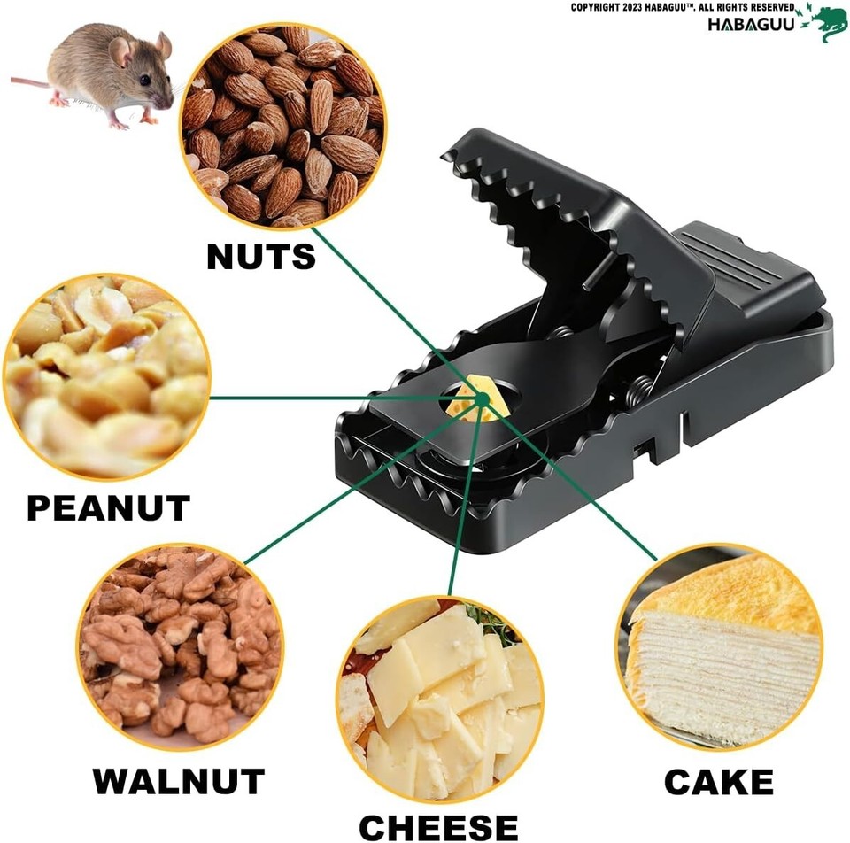 6 Pack Large Mouse Traps Killer Reusable Snap Trap for Rat Mice Gophers ...