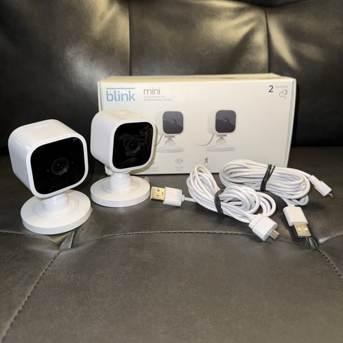 2-Blink Mini Cameras 1080p HD, Night Vision, 2-Way Audio, Motion ...