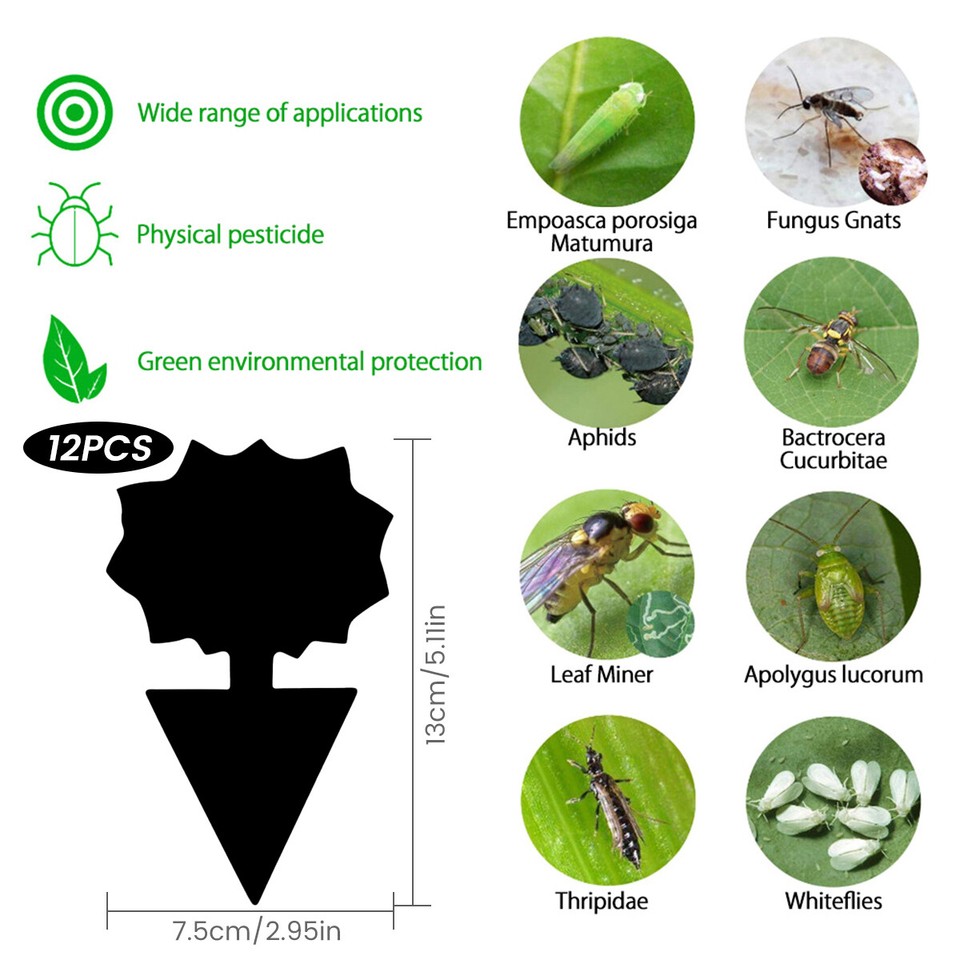 12pcs Sticky Fly Trap Paper Traps Fruit Flies Insect Aphids Glue SW ...
