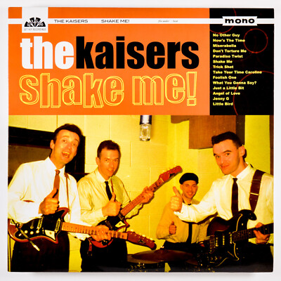 KAISERS Shake Me LP NEW Bristols Janey Ravemen Radium Cats Revillos ...