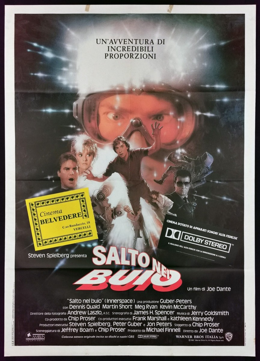 Il Manifesto Del Film Professionale