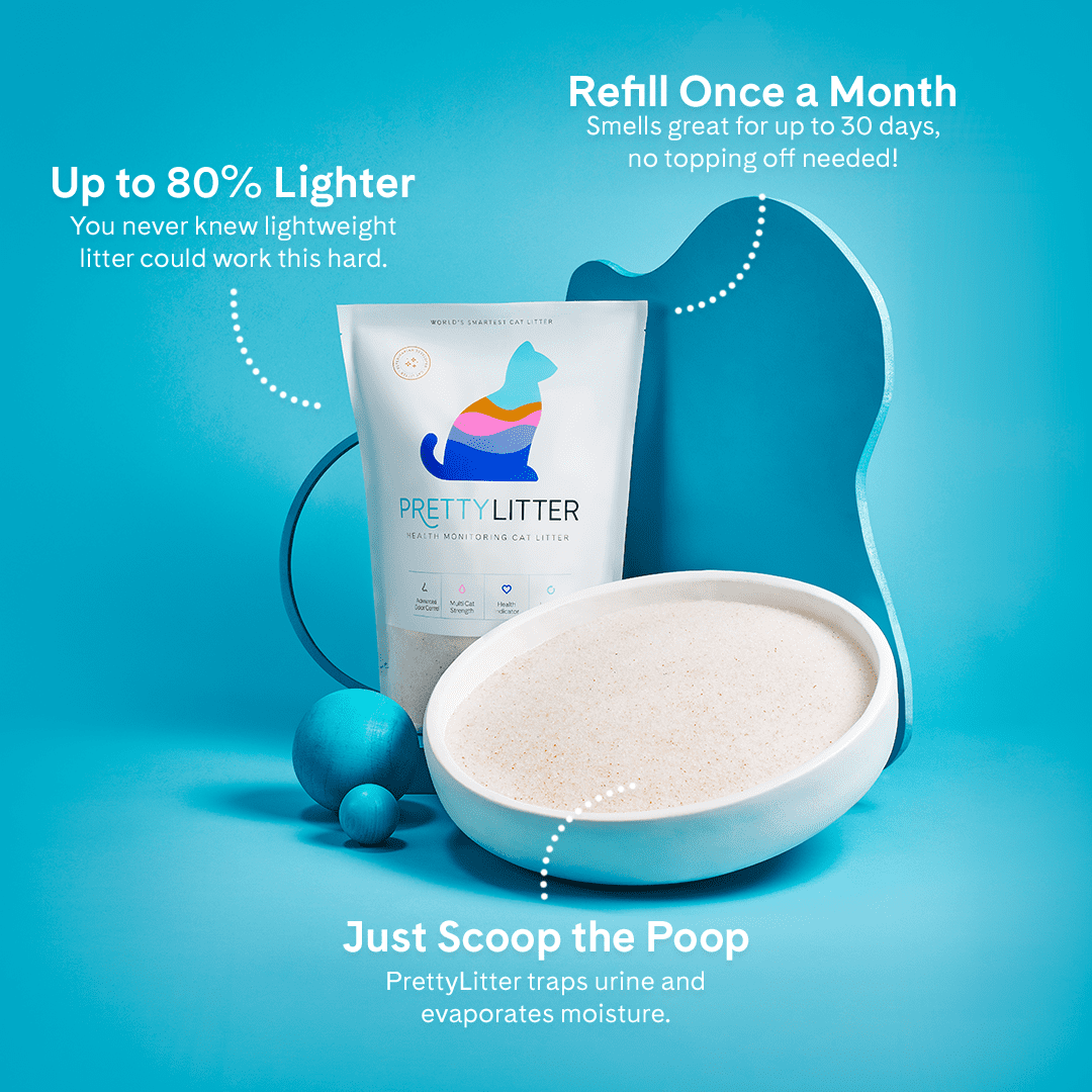 NEW Pretty Litter Health Monitoring Cat Litter BIG - 8lb Best BAG 2 ...