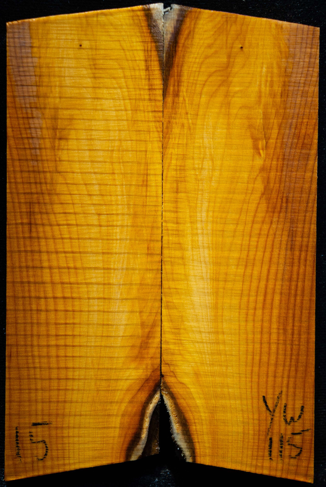 Pacific Yew #115 Knife Scales 5"x 1.5-1.75" x 7/16" | eBay